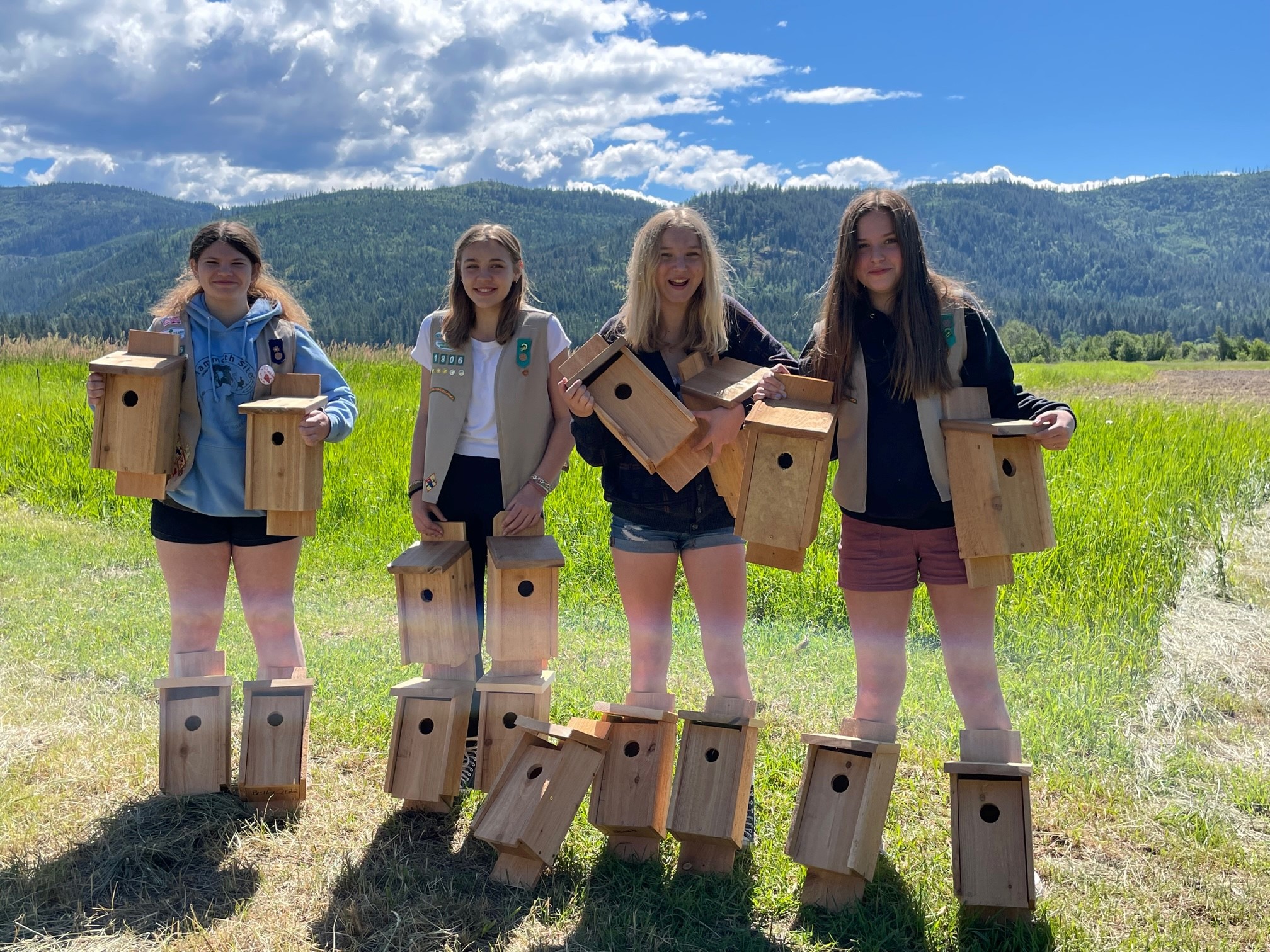 Girl Scouts improve bluebird habitat near McArthur Lake project | Idaho ...