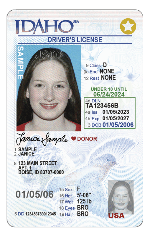 Young Drivers | Idaho Transportation Department